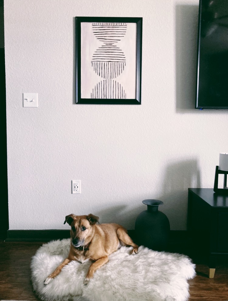 Easy Amazon Look-Alike Poster DIY | Kel at Home