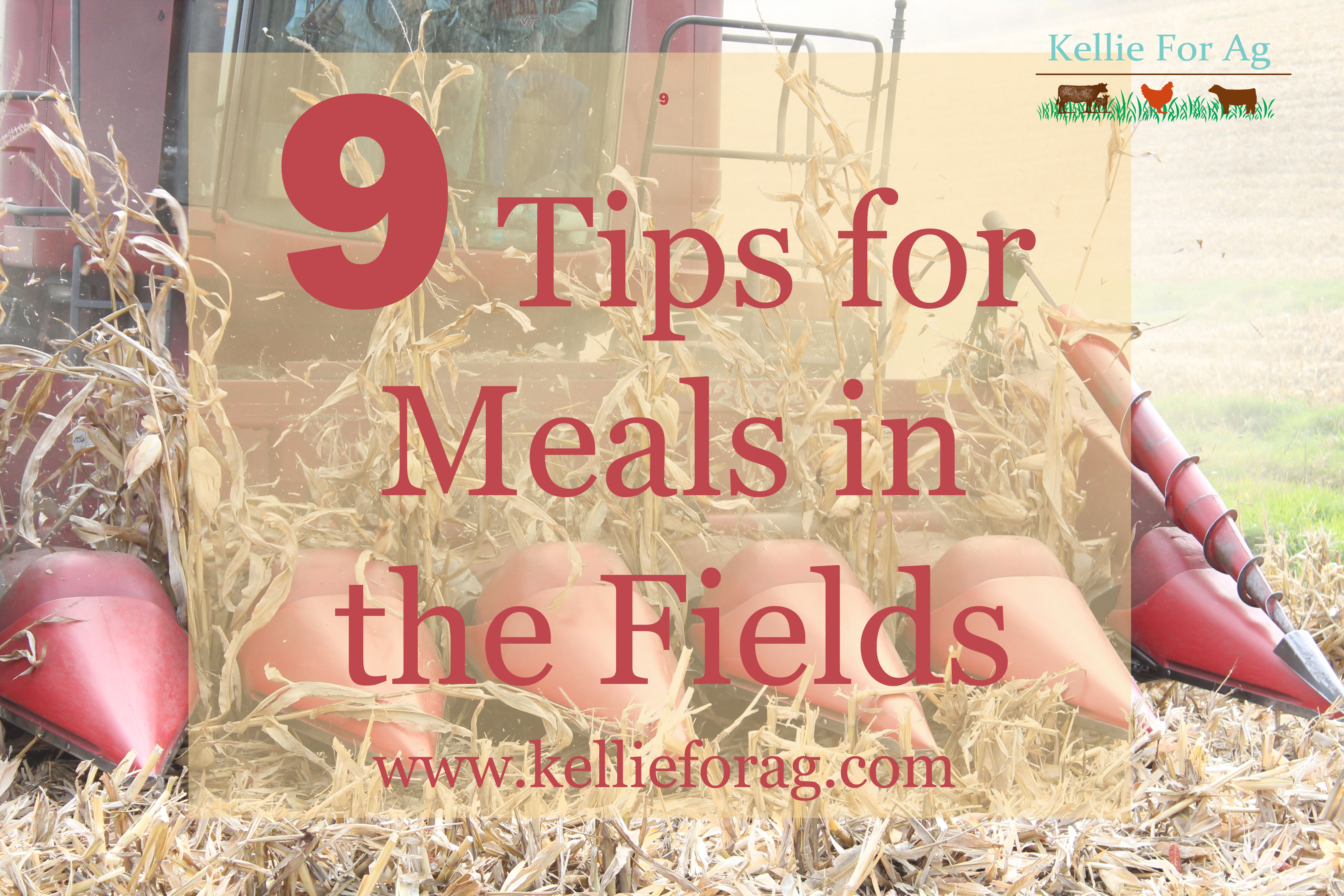 9 Tips for Meals in the Fields - Kellie For Ag