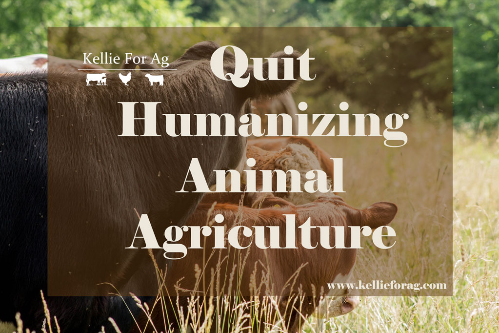 Quit Humanizing Animal Agriculture - Kellie For Ag