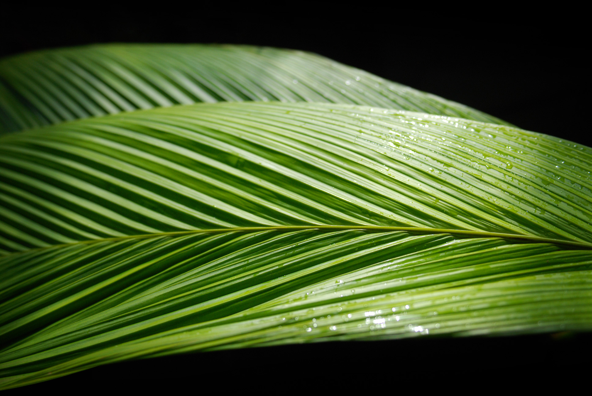 Light Patterns….