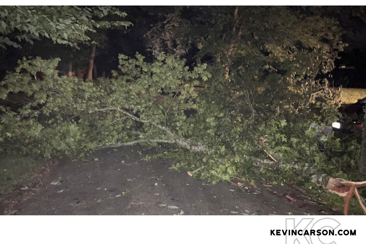 A Chainsaw with a Wish - KevinCarson.com