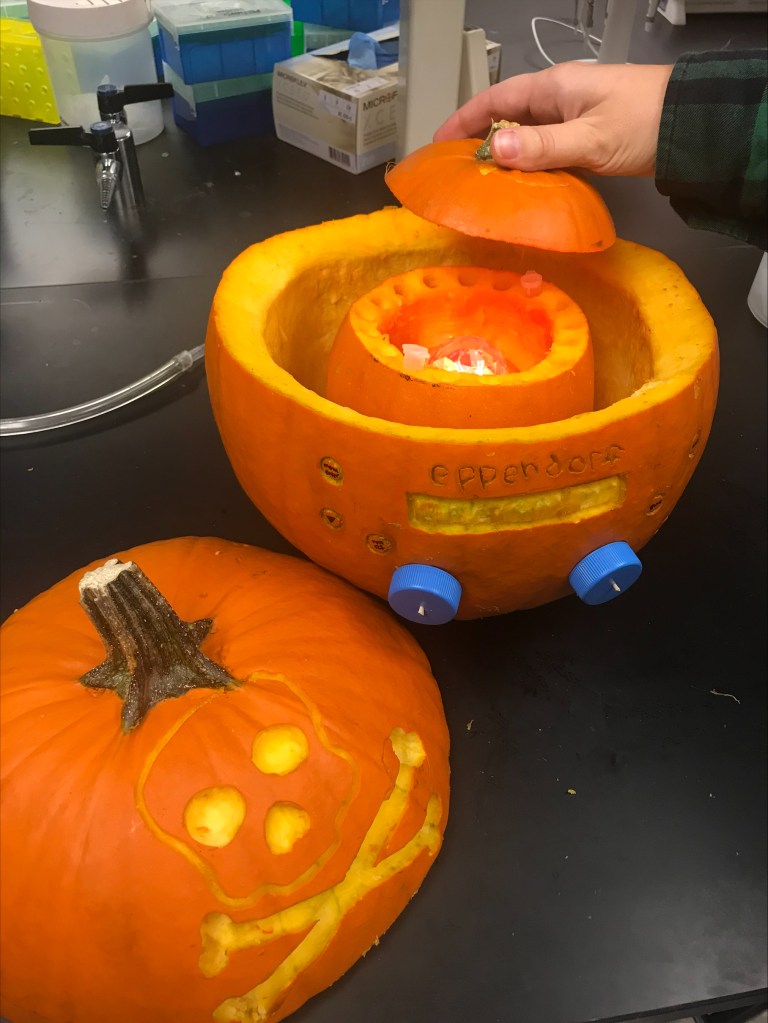 Lab Fun - CHEUNG LAB