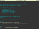 Freeradius In Ubuntu Radiusserver