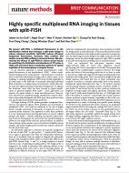 Github Khchenlab Split Fish A Multiplexed Fish Image Analysis - Download Gorgeous Ocean Design | High Resolution