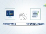 Programming Vs Scripting Language Comparison In 2024