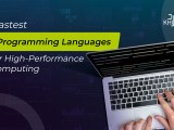 Fastest Programming Languages For High Performance In 2025