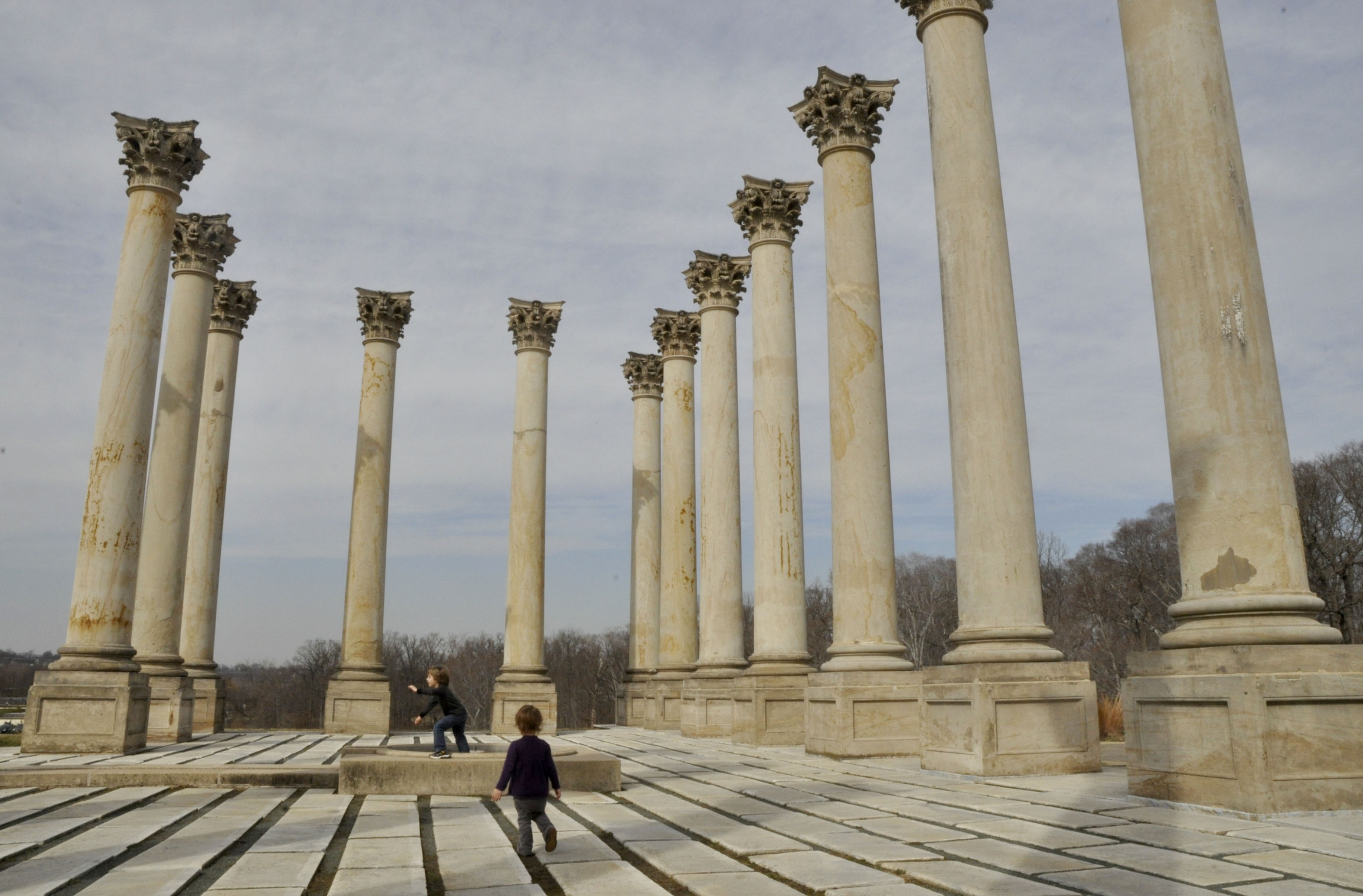 Go Green this Weekend | KidFriendly DC