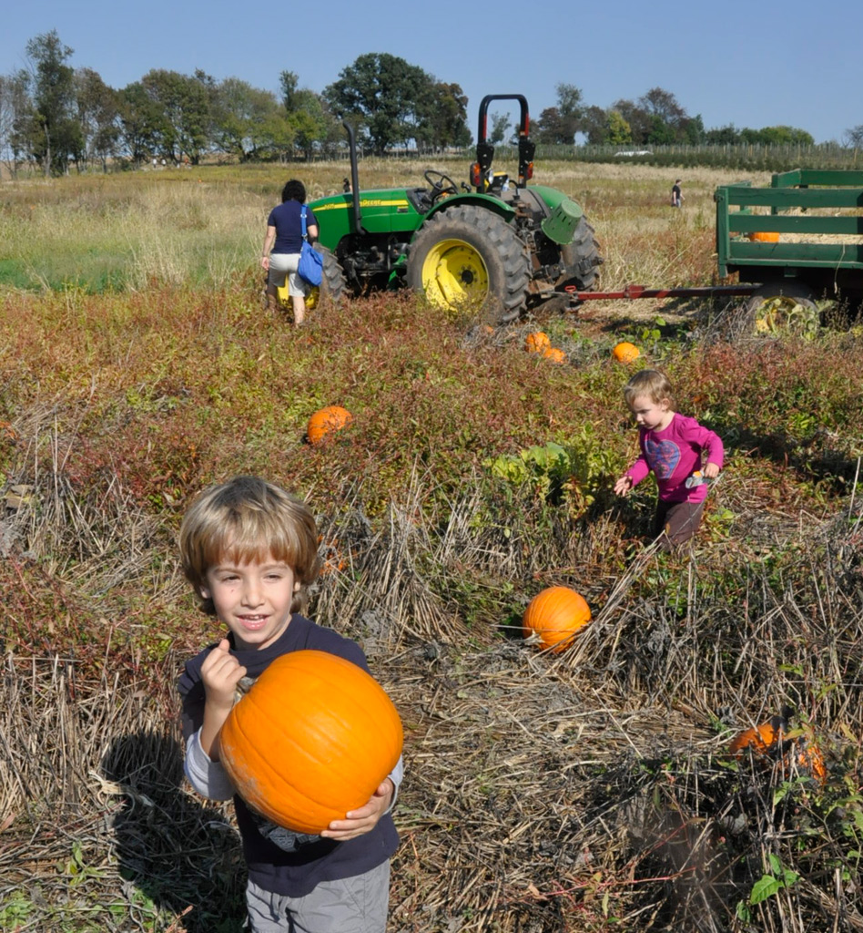 Get into the Spirit of the Season at a Fall Festival | KidFriendly DC