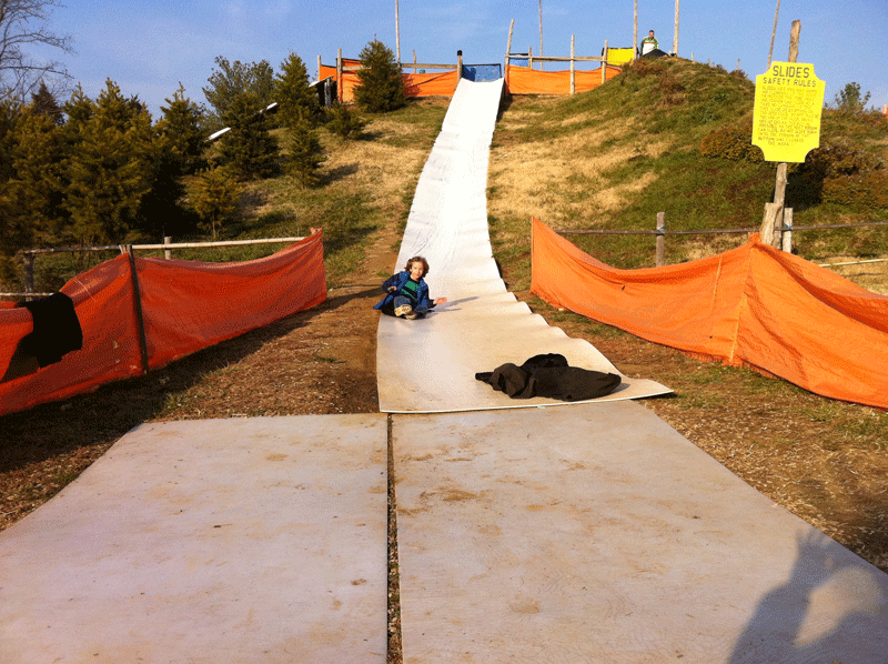 Festival Time at Ticonderoga Farms | KidFriendly DC