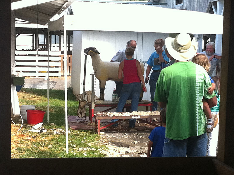 Scenes from the Montgomery County Fair | KidFriendly DC