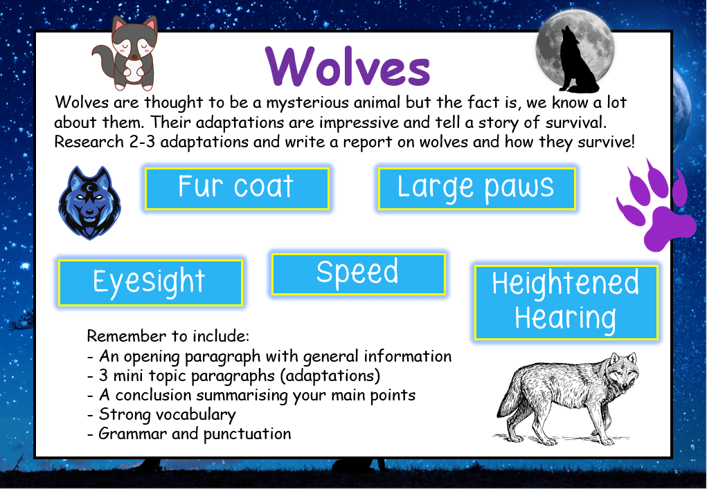 Report Writing | Wolf Adaptations