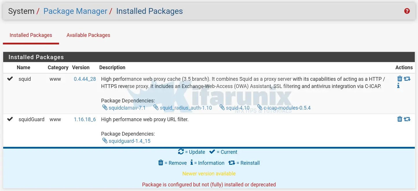 Install And Setup Squid Proxy On Pfsense Kifarunix