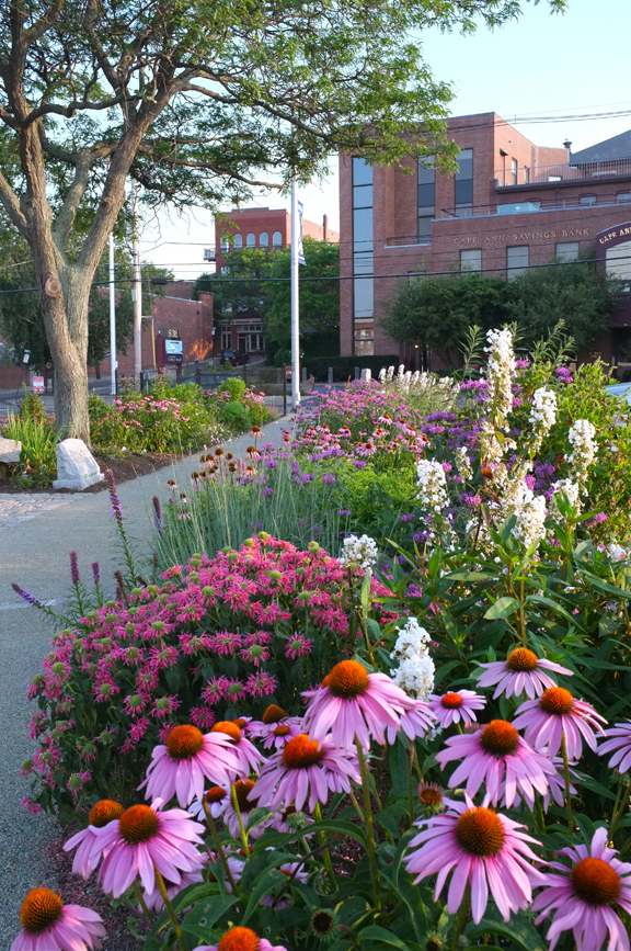 Gardens at Gloucester Harbor Walk | Kim Smith Films