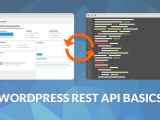Wordpress Revolution With Graphql Kinsta
