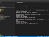 Uniform Developer Experience Using Visual Studio Code Dev Containers