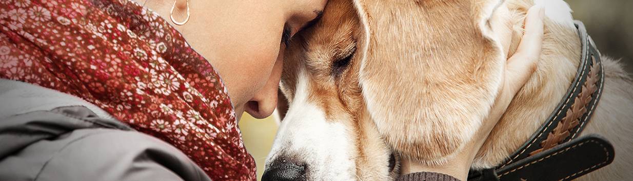 Homepage Kirkpatrick Foundation