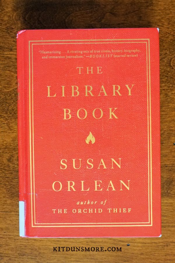 Brain Chain 2: The Library Book – Kit Dunsmore's Blog