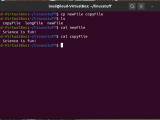 Linux Terminal Using The Cp Command