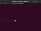 Linux Terminal Using The Grep Command