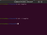 Linux Terminal Using The Tail Command