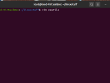 Linux Terminal Using The Vim Command