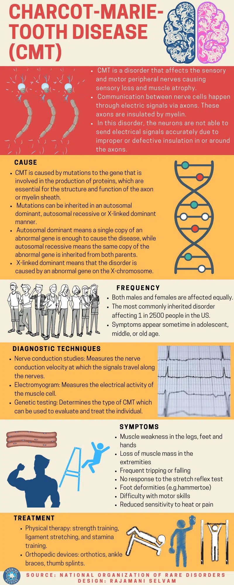Infographics - Knowing Neurons