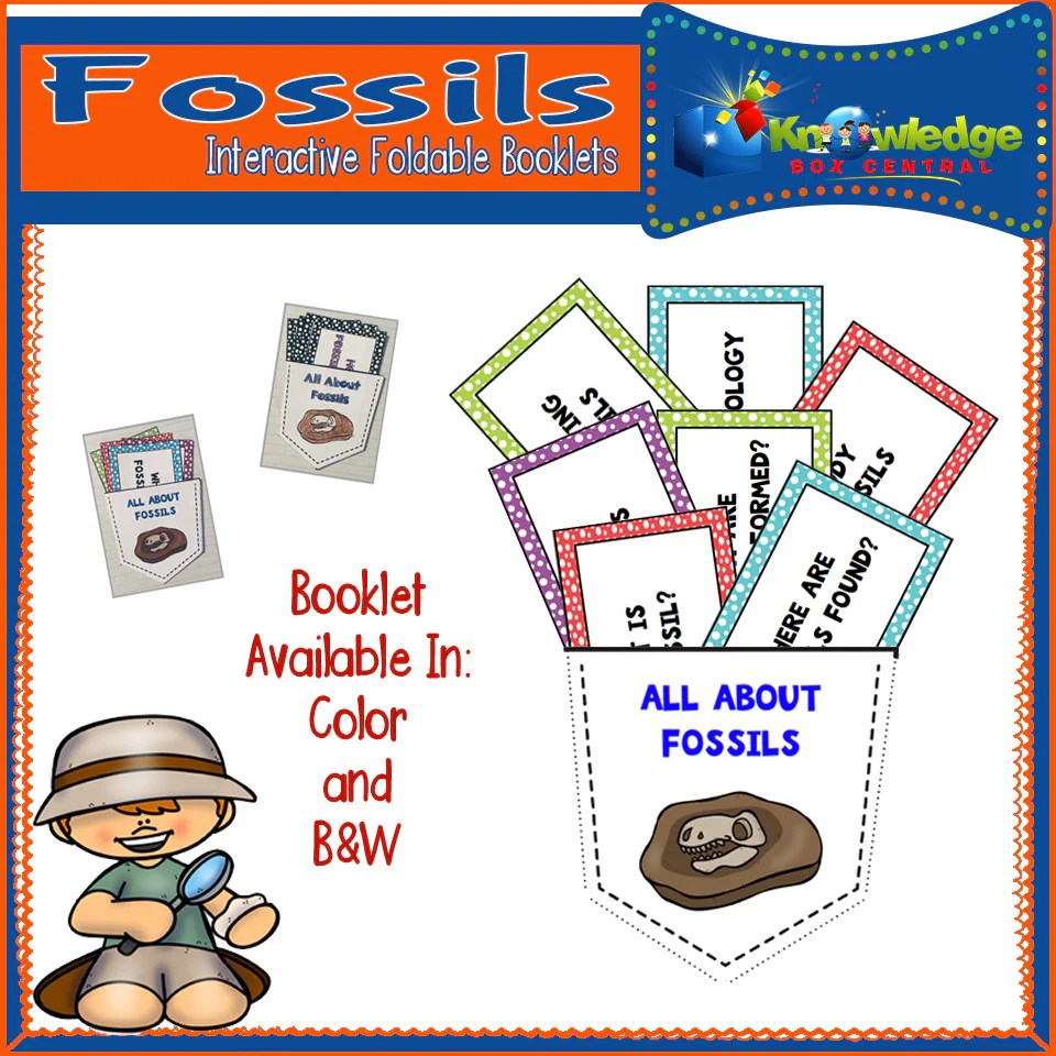 Fossils Interactive Foldable Booklets Knowledge Box Central