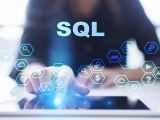 Sql Server Developer Knowledge Door