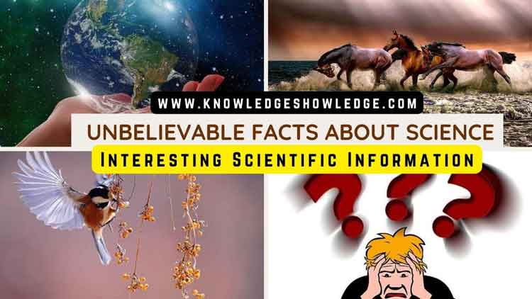 70 Unbelievable Facts About Science 70 Most Interesting Facts About 70-unbelievable-facts-about-science-70-most-interesting-facts-about