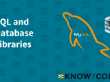 Sql Library Know The Code