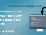 Remove Query String Static Resource Know The Code