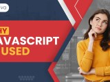 Why Javascript Is Used A Complete Information