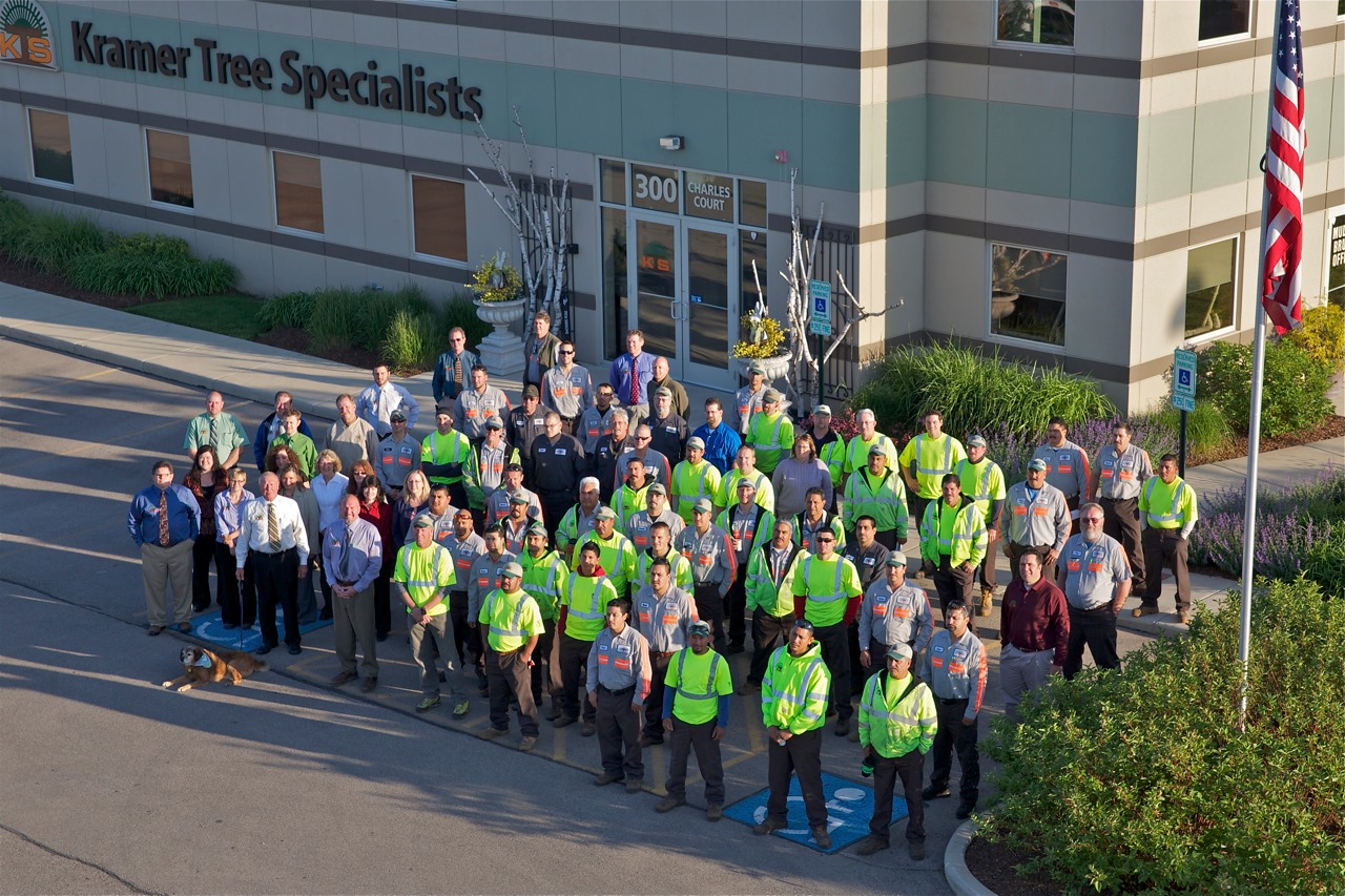 Utility Clearance Arborist - Kramer Tree Specialists
