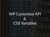 Setting Css Custom Properties Variables Using The Wordpress