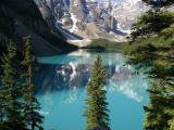 Angularjs Directives For Materialize Css Framework