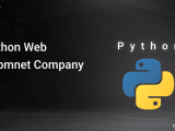 Top Python Web Development Company In India Krify
