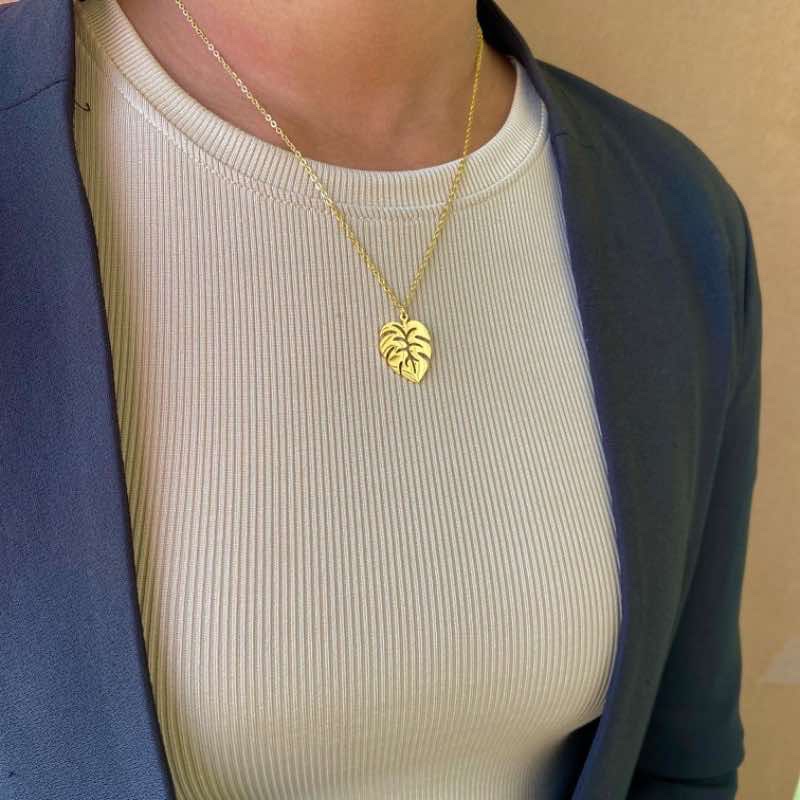 Colar design folha da planta costela Adão inox - Kriolas Biju