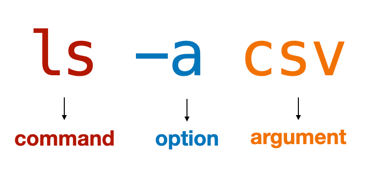 Tutorial Working In The Terminal Code In Context Computing The - Nature Wallpapers - Premium Ultra HD Collection