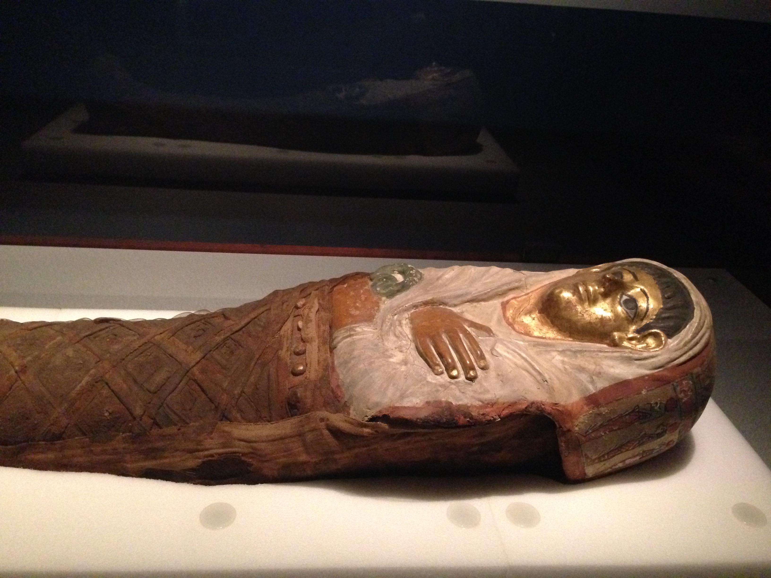 Mummies Come to the Natural History Museum - LA Explorer