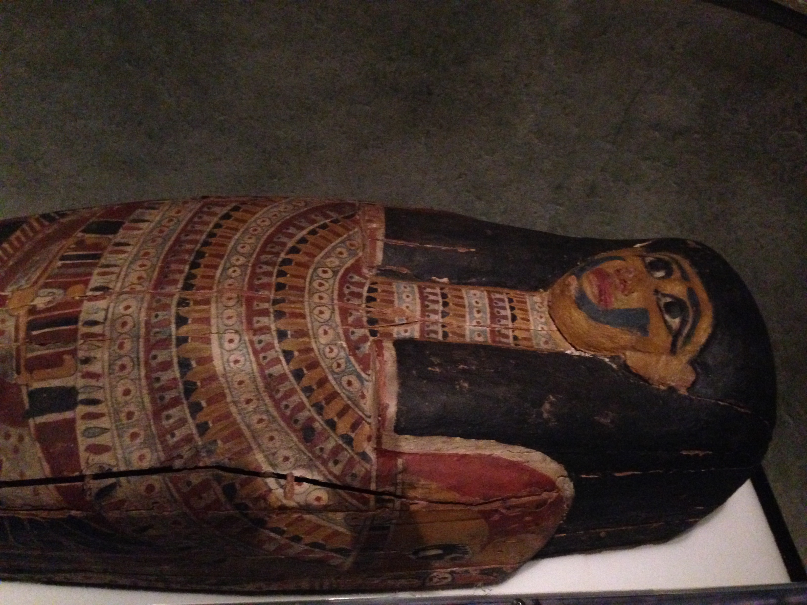 Mummies Come to the Natural History Museum - LA Explorer