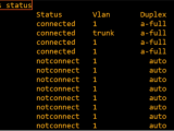 Switch Interfaces Ccna Notes