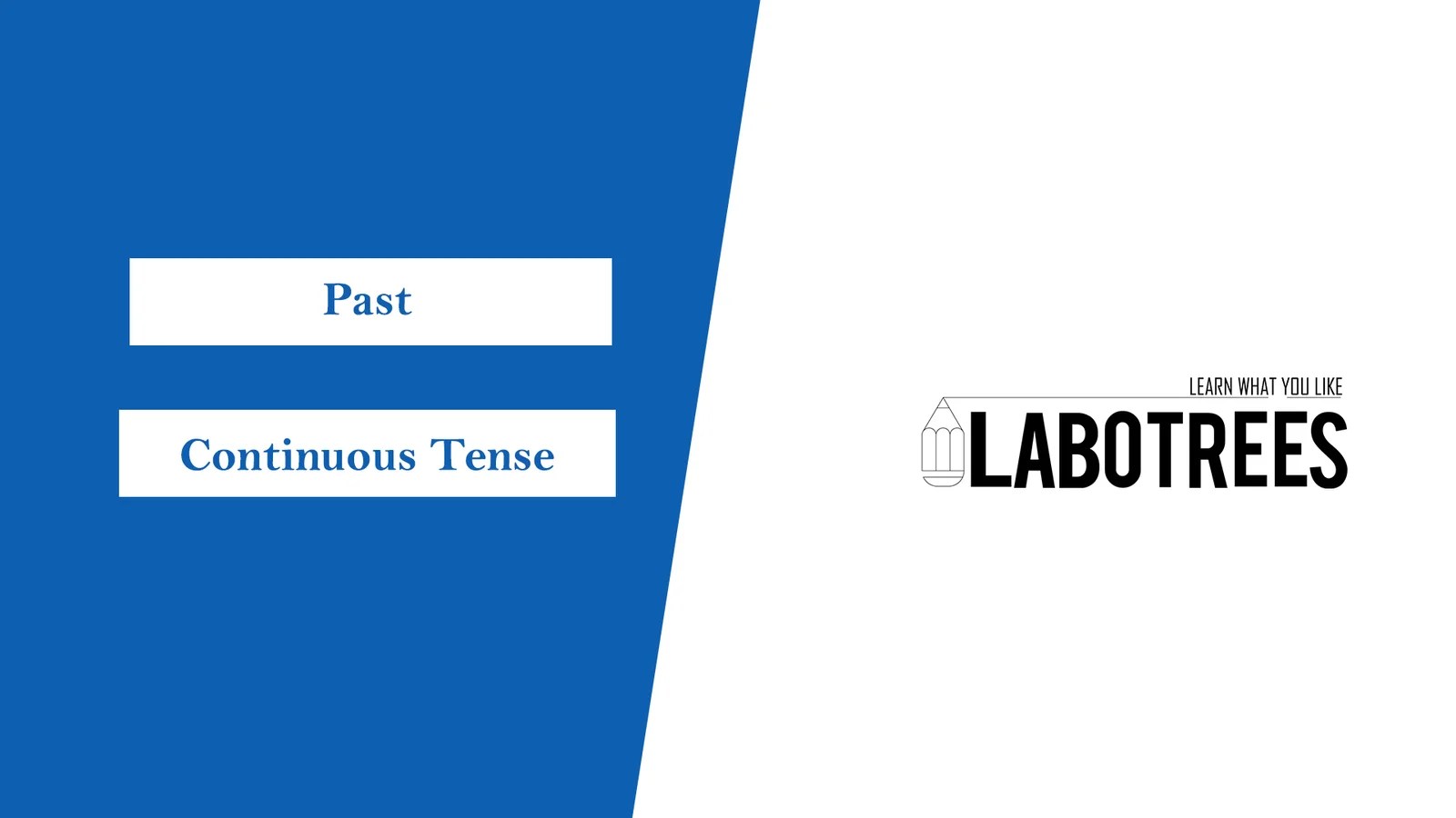 Past Continuous Tense | Labotrees