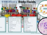 Body Fluids Types Defination And Overview Lab Tests Guide