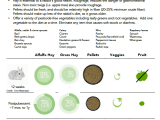 Rabbit Care Understanding Your Rabbit S Health Regular Checks And