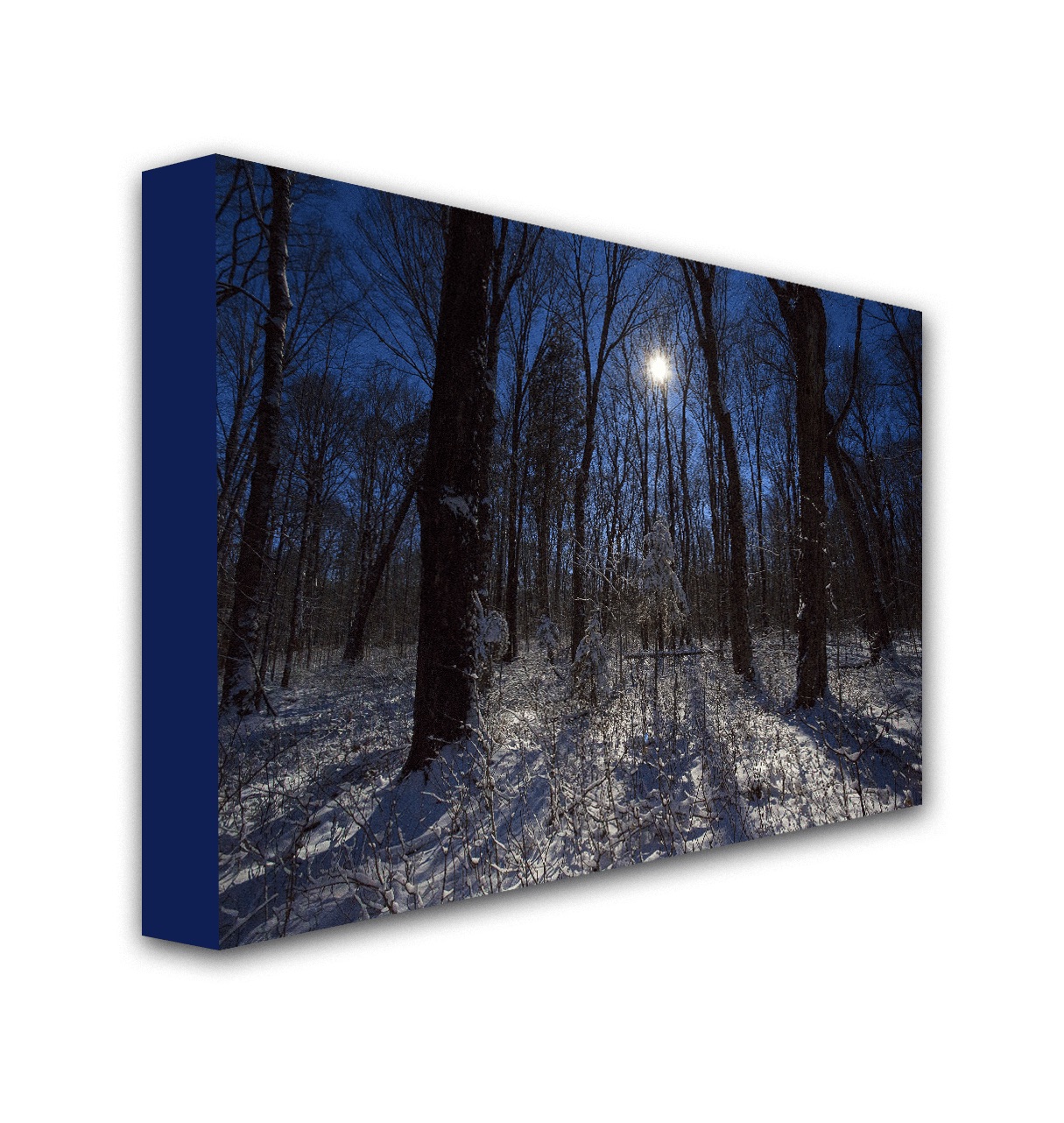 4AM In The Woods - Landscape Printing