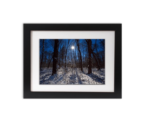 4AM In The Woods - Landscape Printing