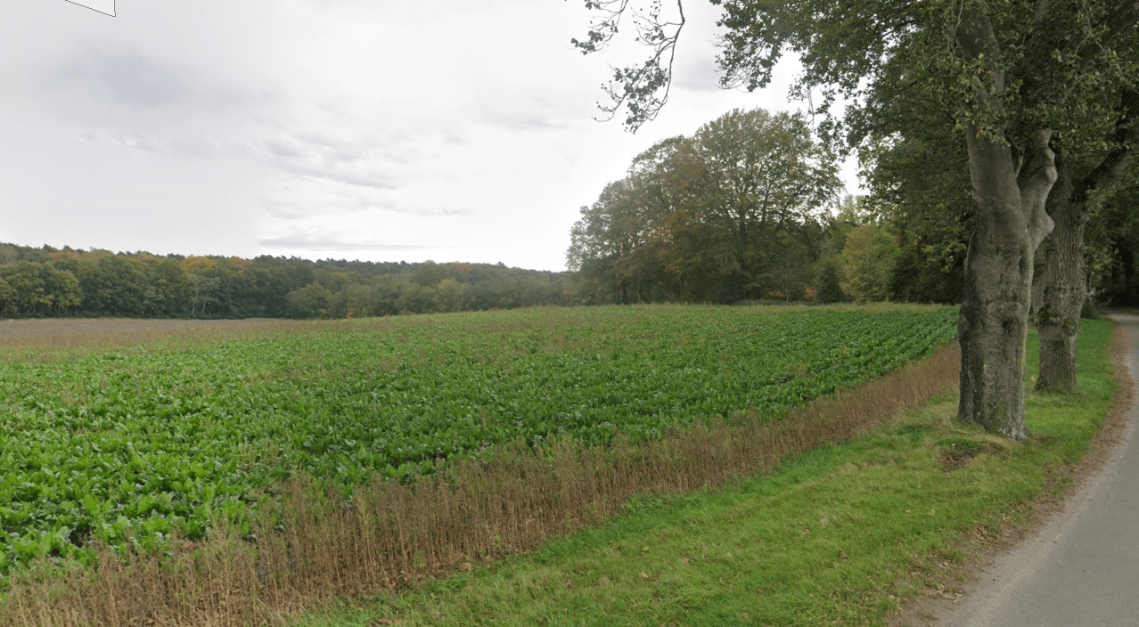 Garderen, alle glaciale landvormen bij elkaar - landschap lopen