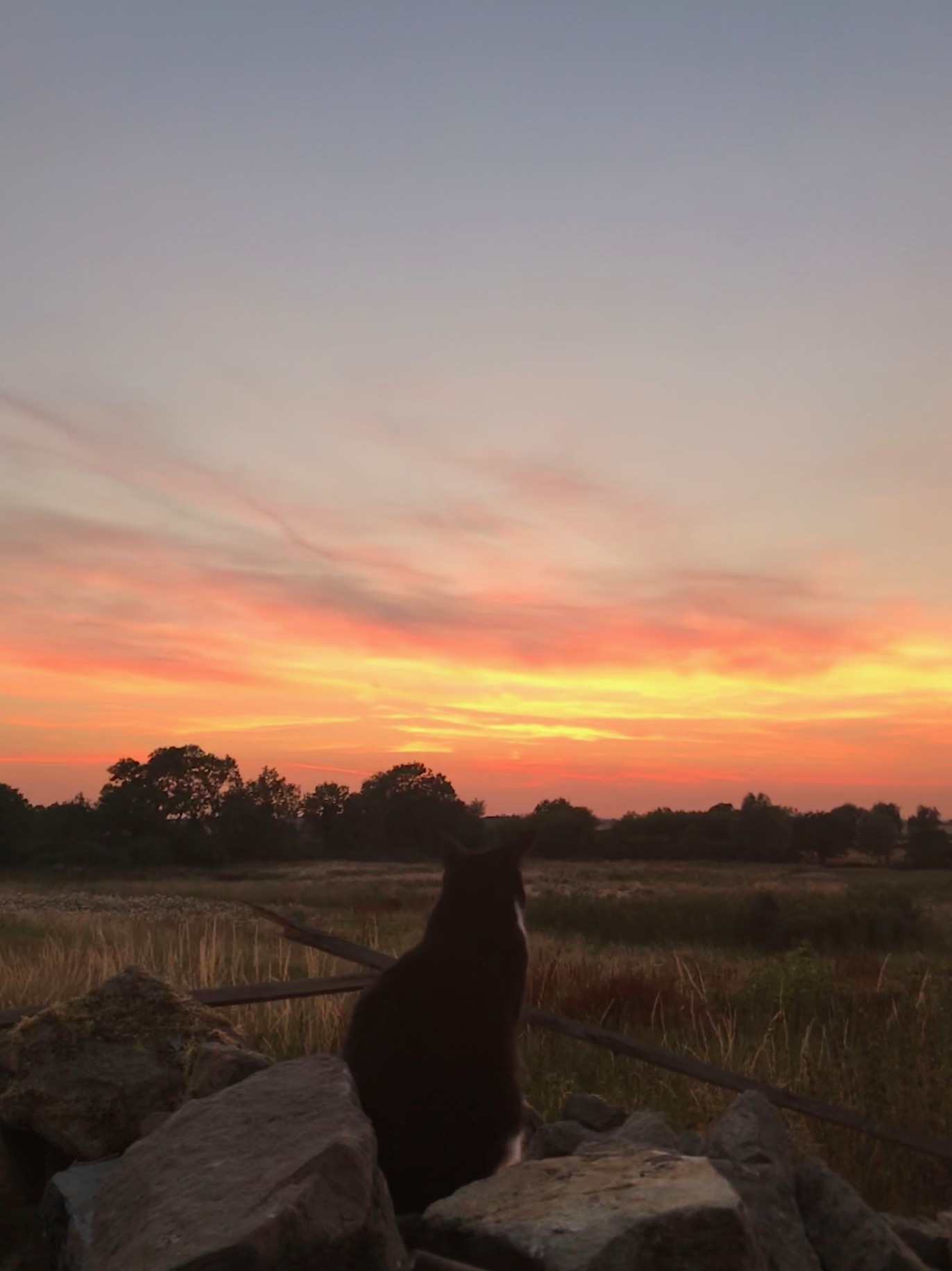 In and around the Villages Langar Cum Barnstone Parish Council