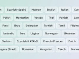Partner With Us Language I O