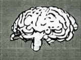 Latent Shift Latent Diffusion With Temporal Shift For Efficient Text
